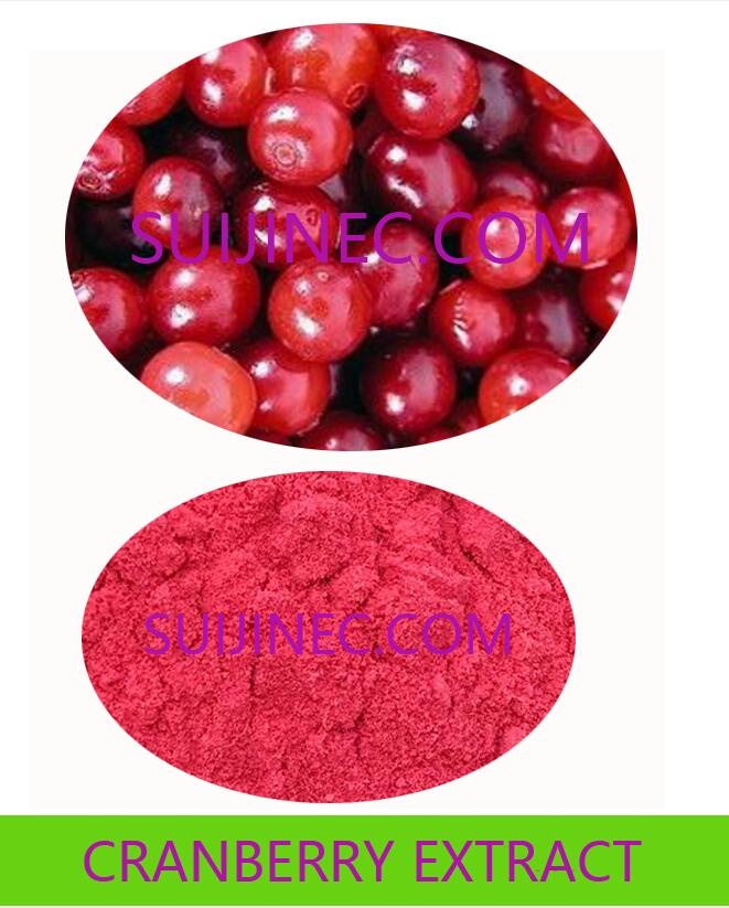 CRANBERRY EXTRACT